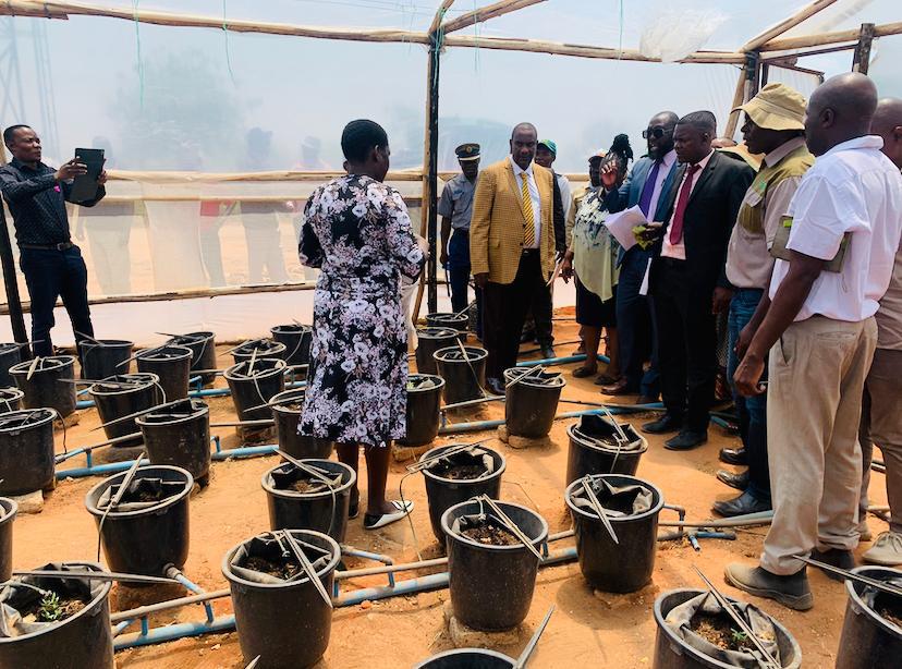 Gokwe community benefits from nutrition gardens - ZBC NEWS
