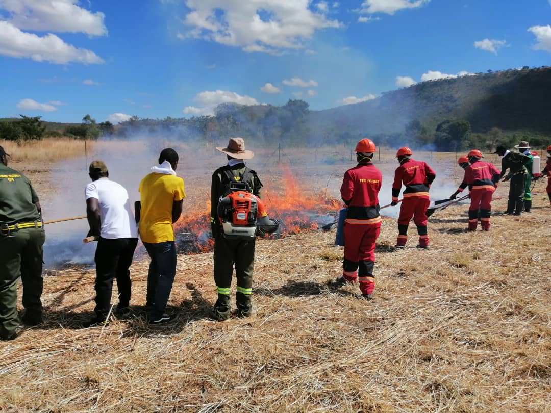 Zim records 60% decline in land destroyed by veld fires - ZBC NEWS