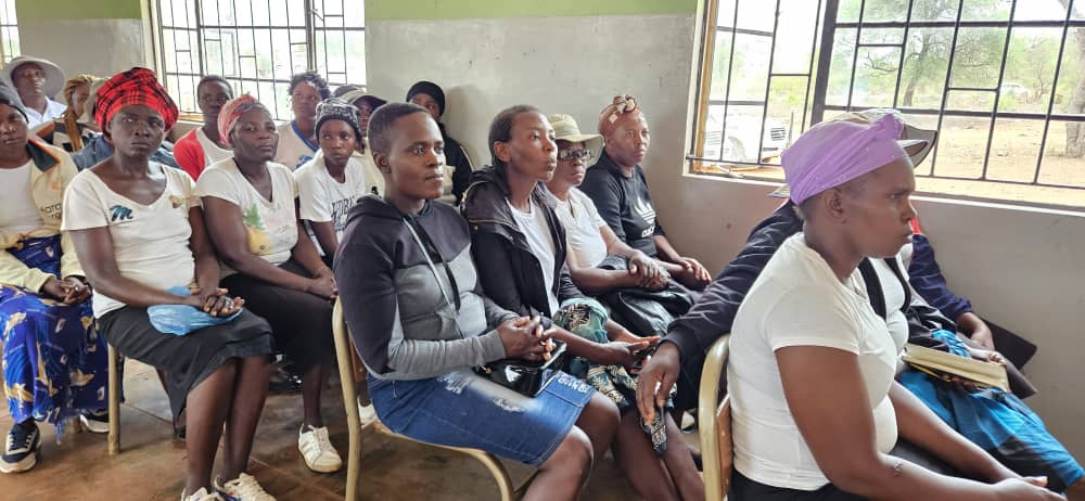 “Women at the Centre” Project empowers GBV survivors in Bubi - ZBC NEWS