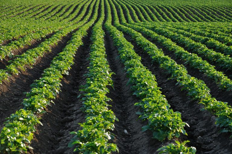 President Mnangagwa calls on govt to capacitate farmers to reduce ...