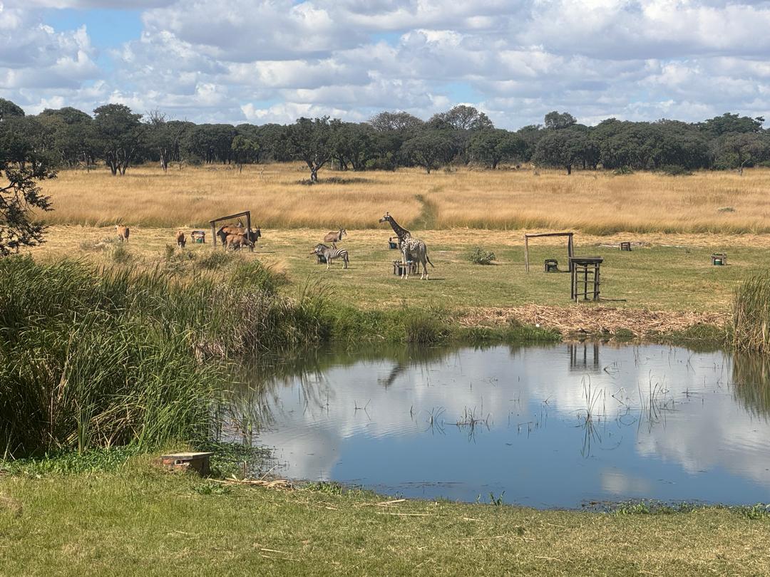 Zimbabwe steps up wetlands conservation efforts ahead of COP15 - ZBC NEWS