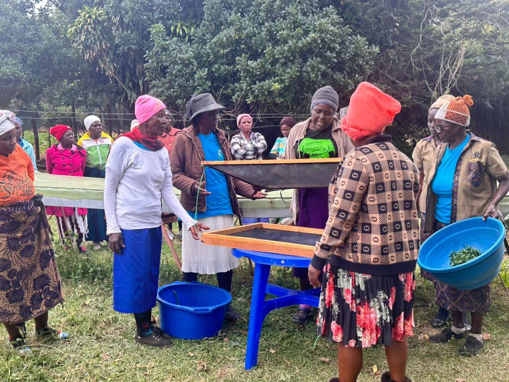 From Chipinge to Osaka: women’s enterprise earns global spotlight - ZBC ...