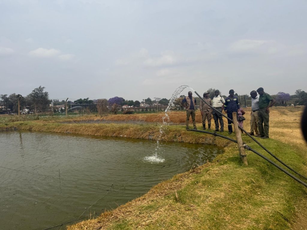 Govt targets 60k tonnes in annual fish production - ZBC NEWS