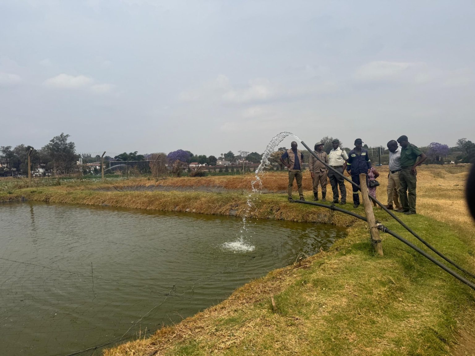 Govt targets 60k tonnes in annual fish production - ZBC NEWS