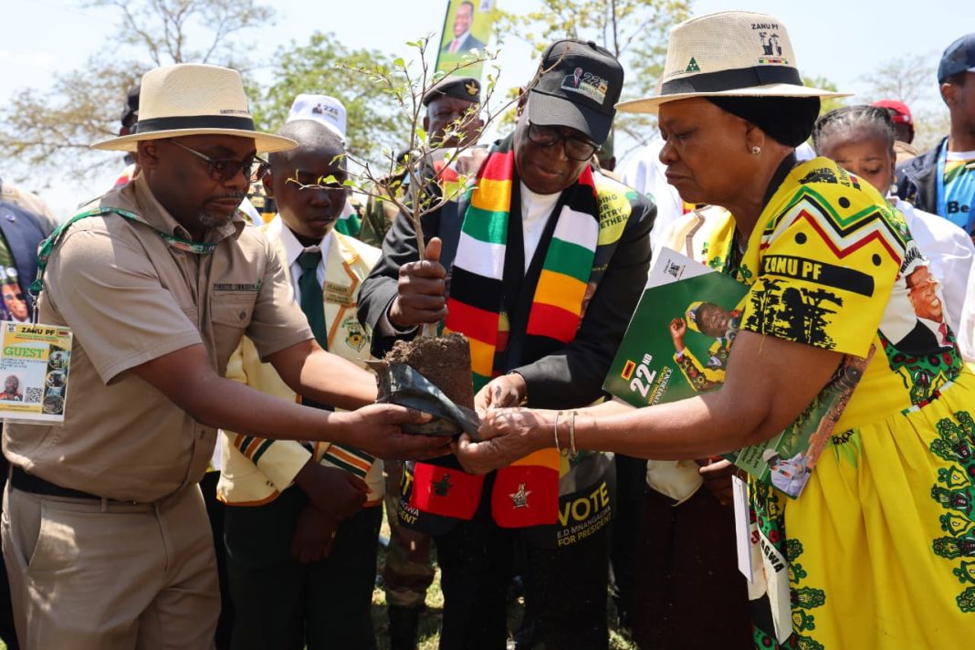 President Mnangagwa champions tree conservation, recalls Khami prison ...