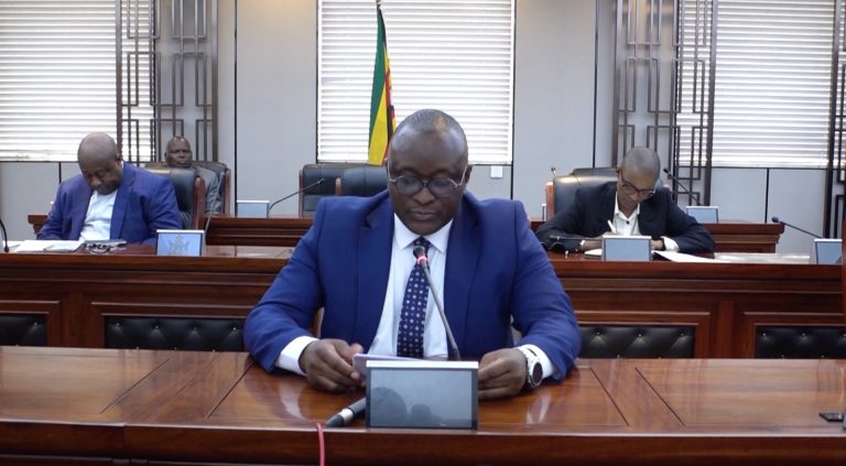 Govt begins issuing title deeds to Garikai/Hlalani Kuhle beneficiaries ...