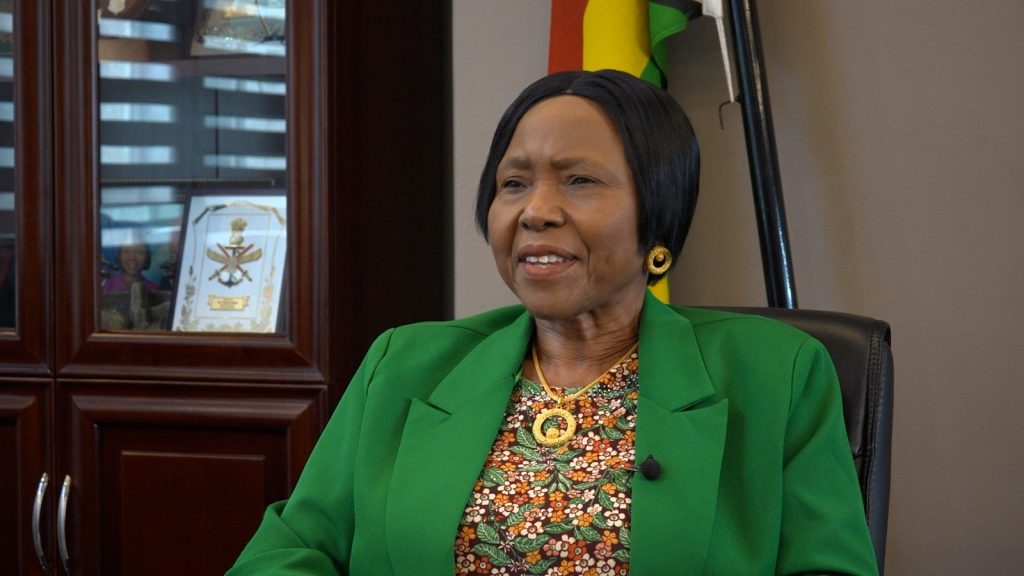 Unity remains cornerstone of Zimbabwe’s development, says Defence ...