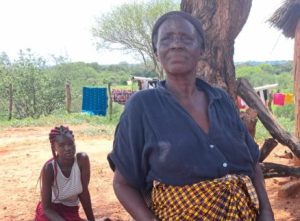 Wildlife Amendment Act offers relief to victims of animal attacks - ZBC ...
