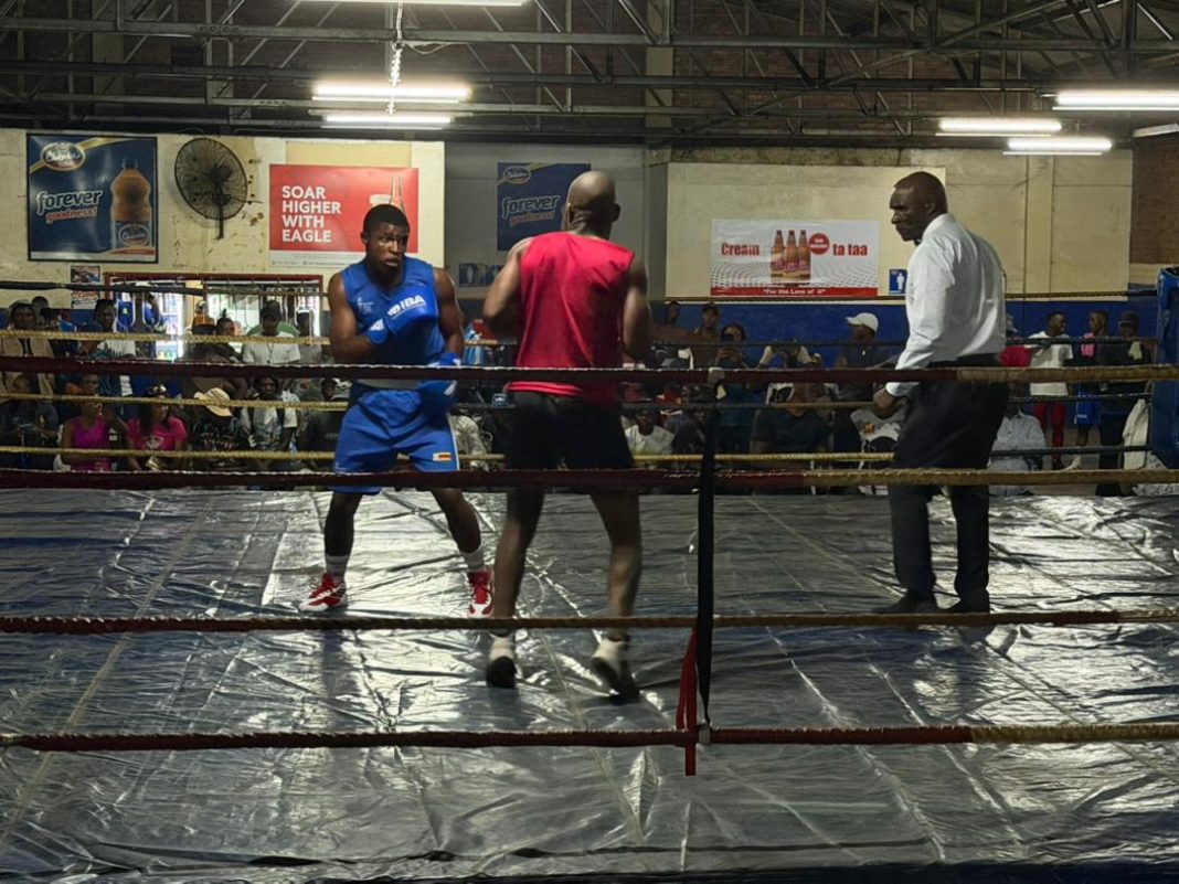 New boxing tournament shines spotlight on emerging Zimbabwean fighters ...