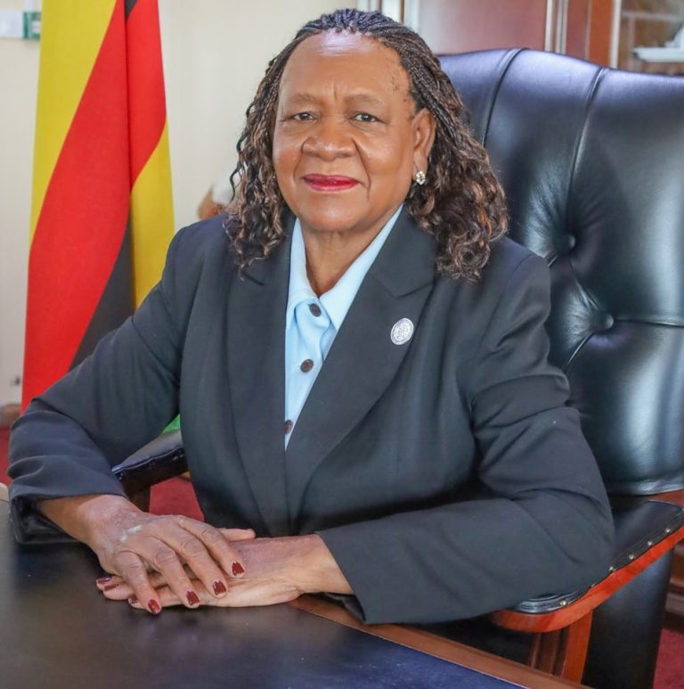 Zimbabwe approves over 190 carbon credit projects as green investment ...