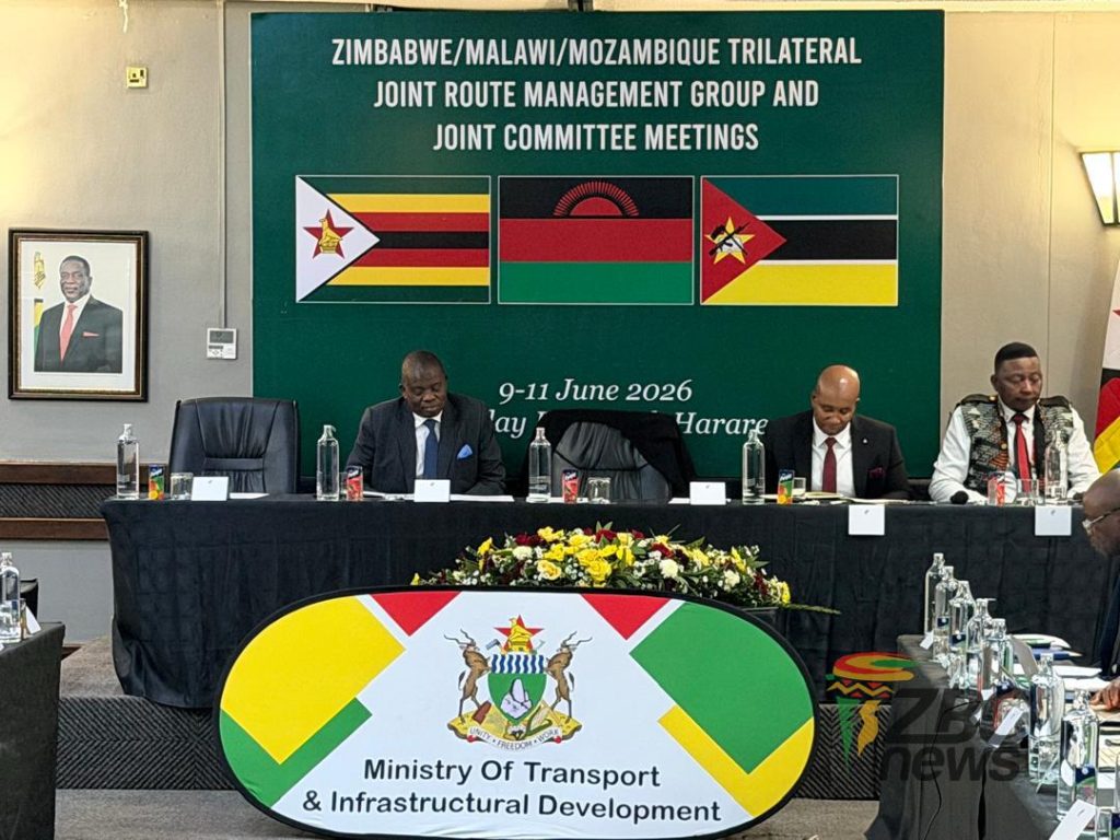 Zimbabwe leads drive for smarter borders as region pursues AfCFTA goals ...