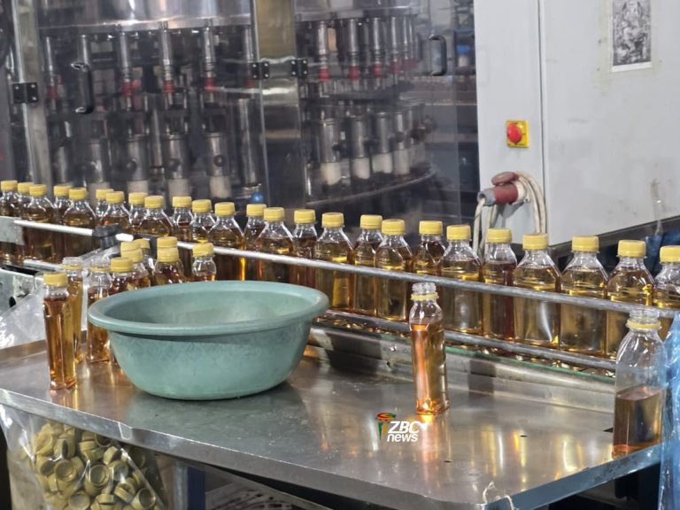 46 held as ZRP cracks down on illicit brew manufacturing in Southerton ...